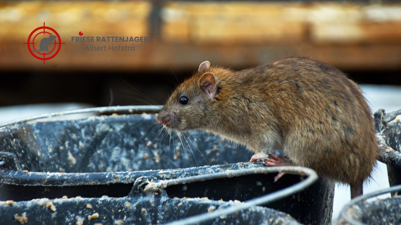 Home - Friese Rattenjager